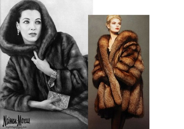 Fur : Your Definitive Guide to the Furs World and Fashion